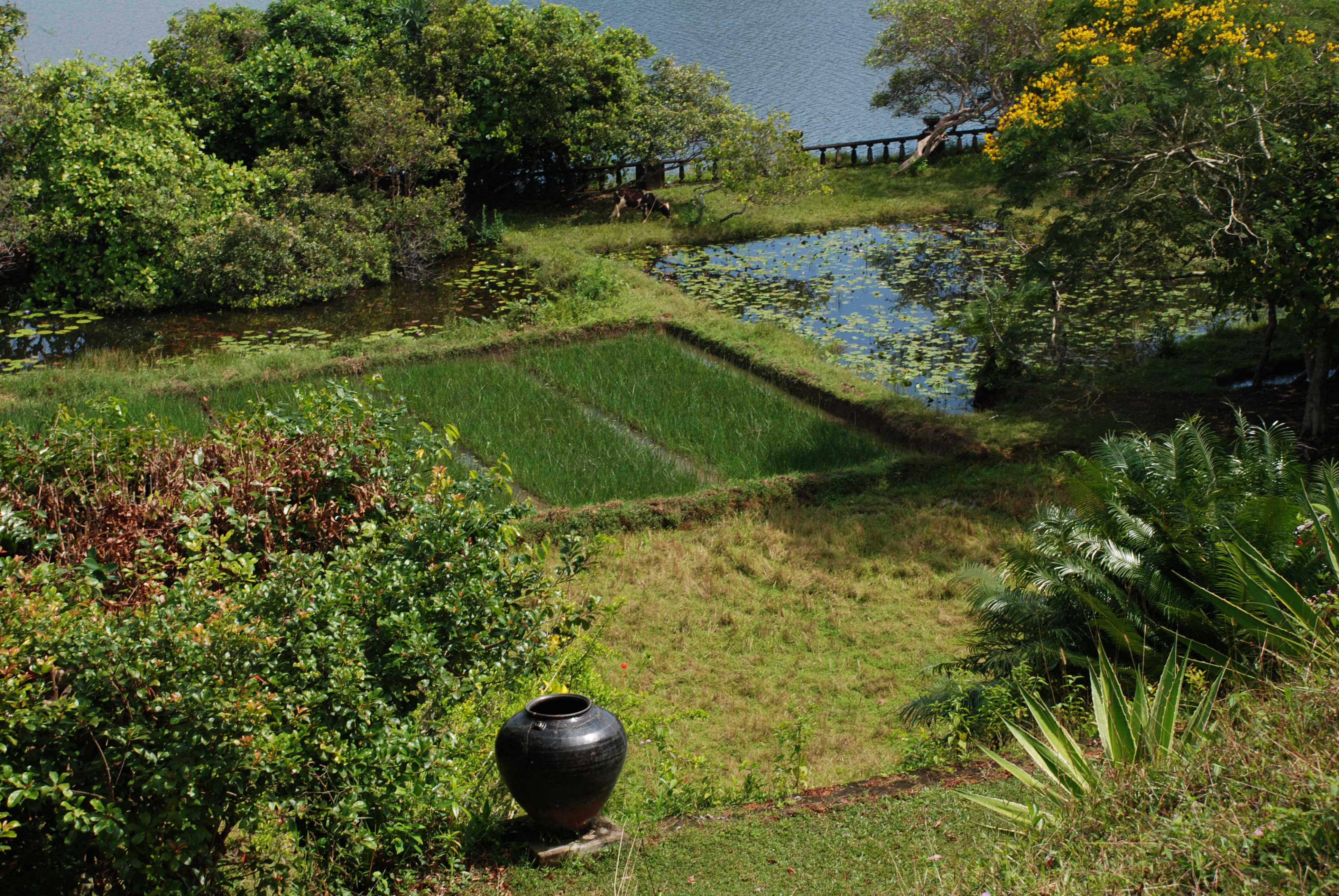 Remembering Bawa . . . | thinkMATTER