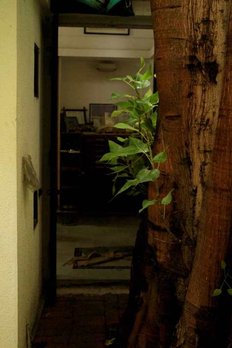 STUDIO: BPS ARCHITECTS | MATTER