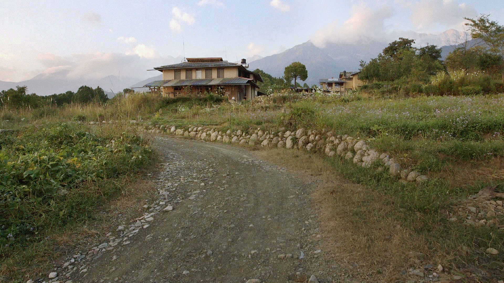 In Focus: The Architecture of Didi Contractor | thinkMATTER