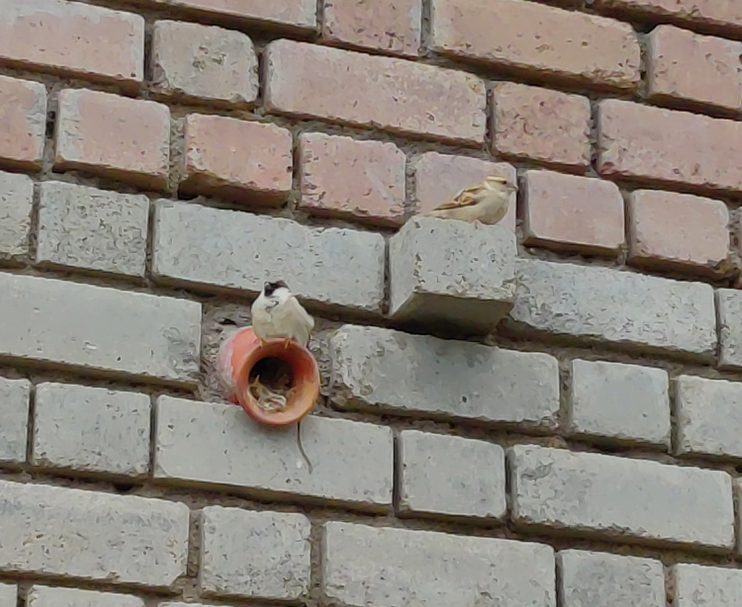 Projects | thinkMATTER | Page 2