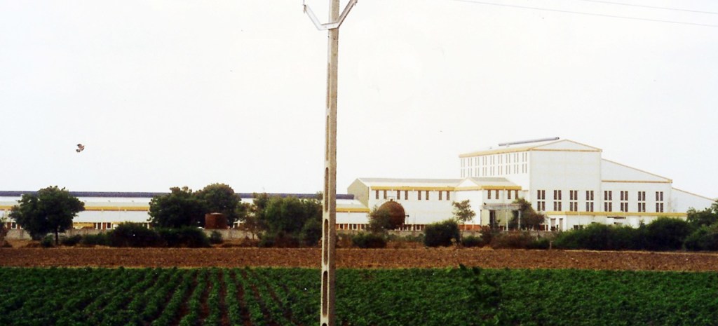 PRAXIS 19 | KSM Architecture | thinkMATTER